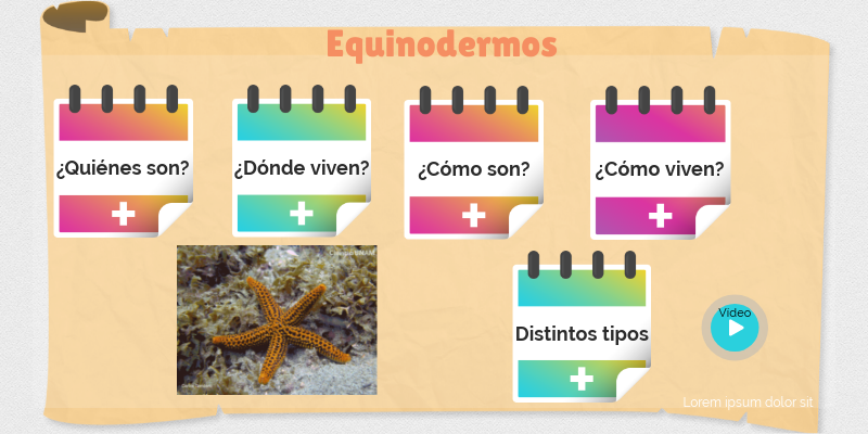 Equinodermos | Genially