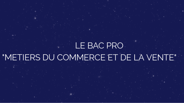 Le bac pro MCV copie | Genially