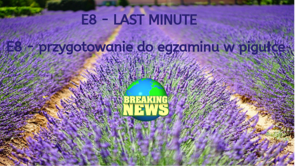 E8 -LAST MINUTE | Genially