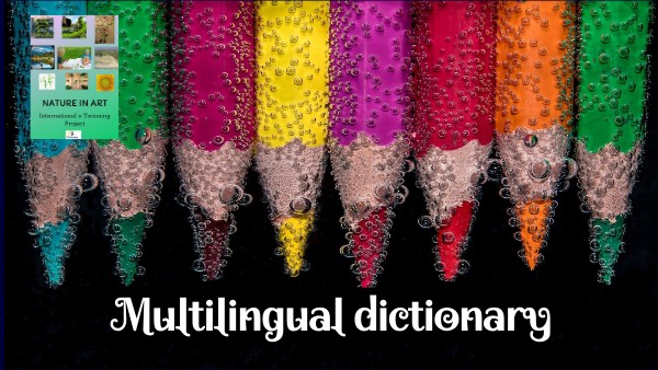 Multilingual dictionary