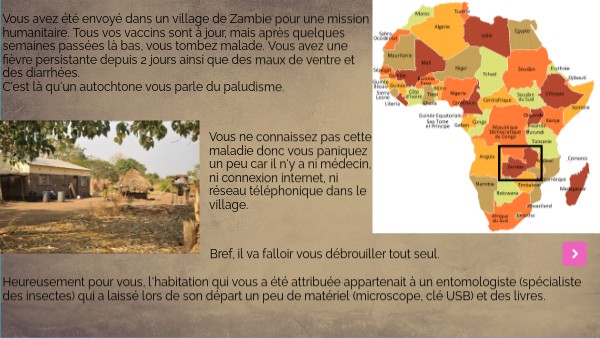 2nde - TP_Paludisme | Genially