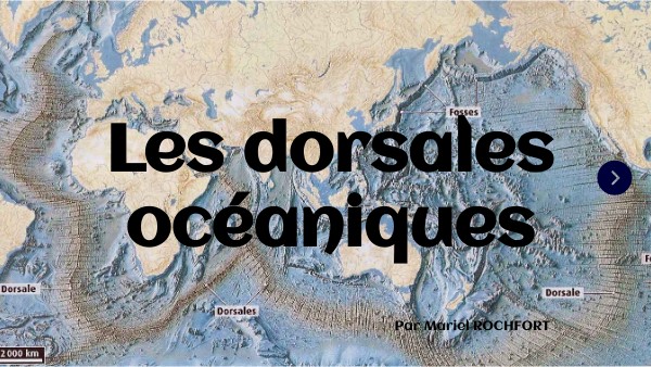 Exemple De Dorsale – Accrétion Océanique Dorsales – TCZTPR