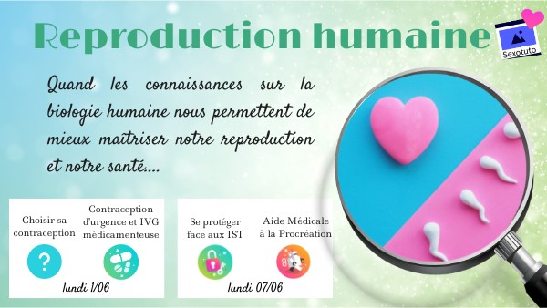 Reproduction humaine | Genially