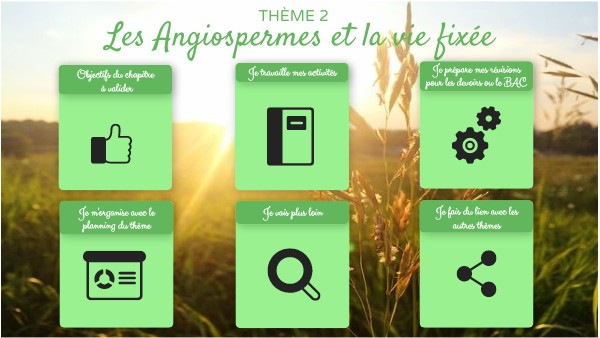 TermSpé_Chap1_Angiosperme | Genially