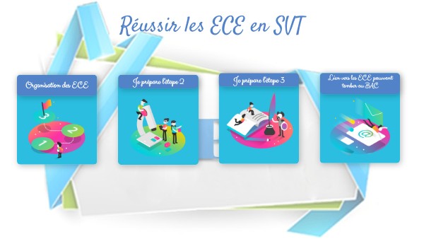 Préparation des ECE