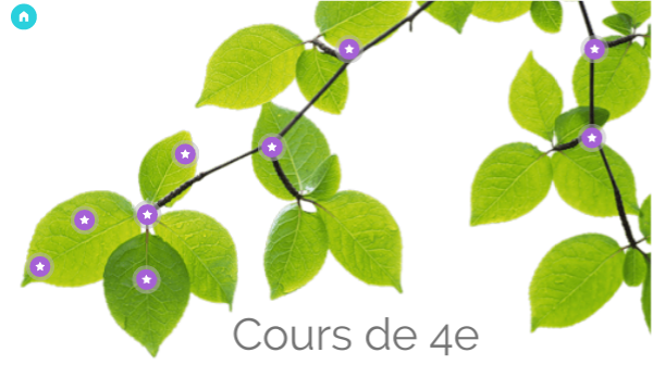 coursvt.com 4e | Genially