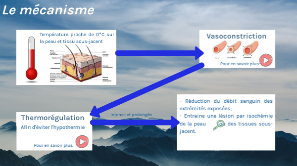 Mécanisme Gelure | Genially
