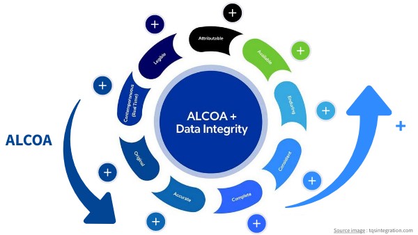Data Integrity Siegfried | Genially