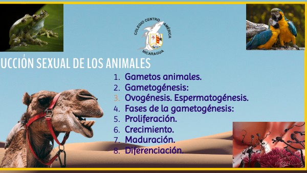 REPRODUCCIÓN SEXUAL DE LOS ANIMALES | Genially