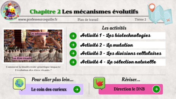 3° - PDT T2 Ch2 Les mécanismes évolutifs | Genially