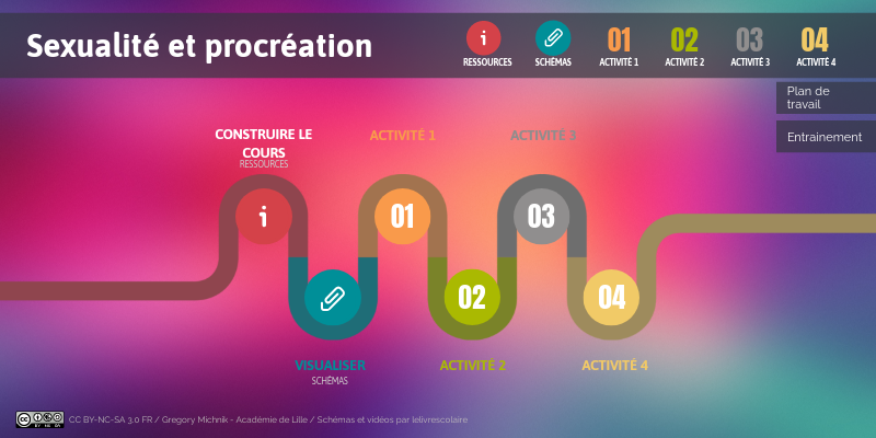 PDT4 - Sexualité et procréation | Genially