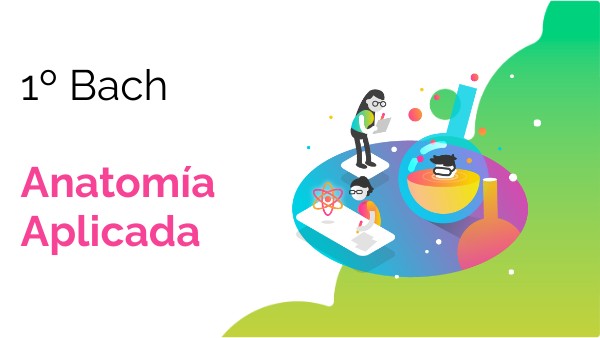 PRESENTACIÓN ANATOMÍA 1º Bach | Genially