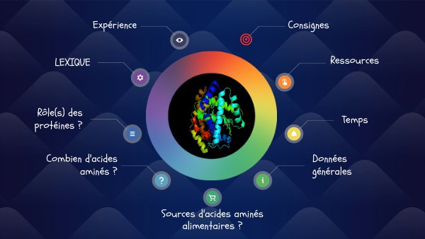 protéines-1spé version 2019 | Genially