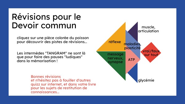 TERMspé TANGRAM revisions | Genially