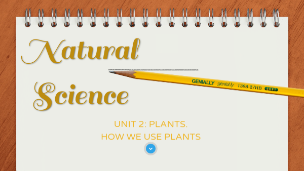 NATURAL SCIENCE UNIT 2: PLANTS. HOW WE USE THEM