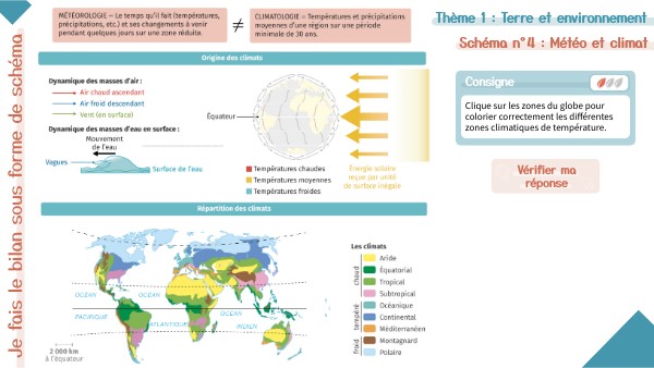 SVT Cycle 4 - Schéma 4 | Genially