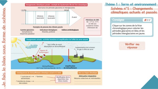 SVT Cycle 4 - Schéma 5 | Genially