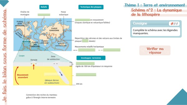 SVT Cycle 4 - Schéma 2 | Genially