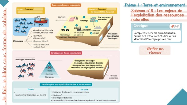 SVT Cycle 4 - Schéma 6 | Genially