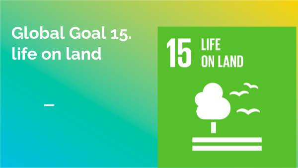 Lesson Global Goal 15 Life on Land Remix literacy