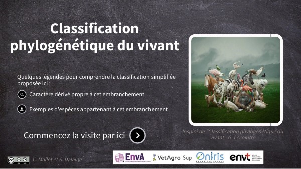 Classification du vivant