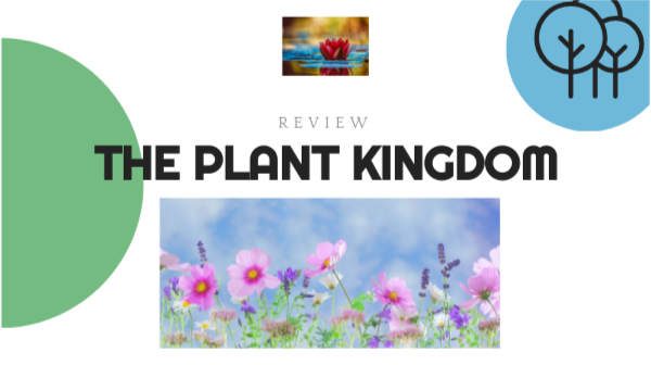 The Plant Kingdom review | Genially