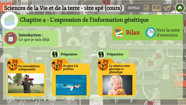 Chapitre 4 - Expression du génome | Genially