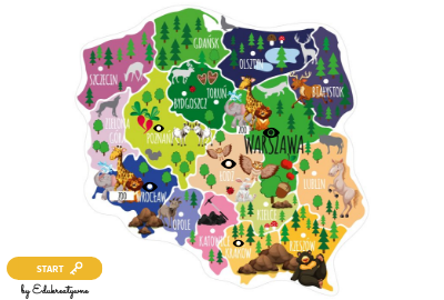 Interactive image copy | Genially