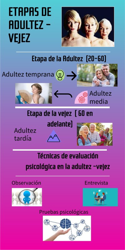 adultez - vejez