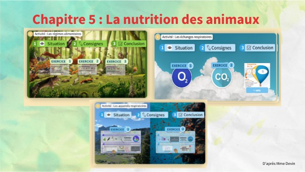 5e chapitre 5 nutrition animaux | Genially