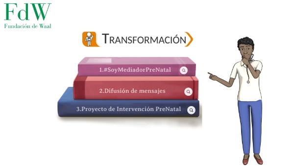 Transformación M2 y M5 | Genially