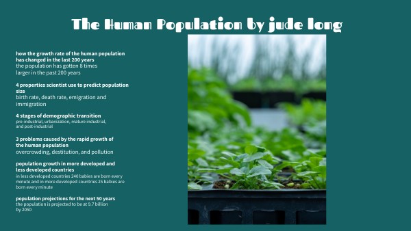 The Human Population by jude long