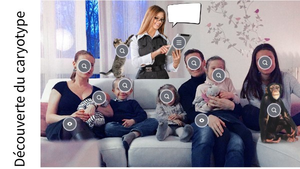 decouverte du caryotype | Genially