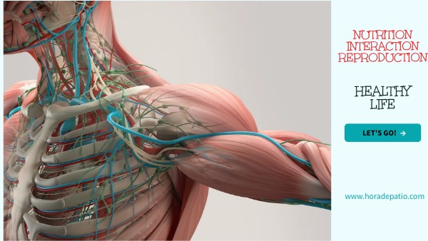 Health and interaction