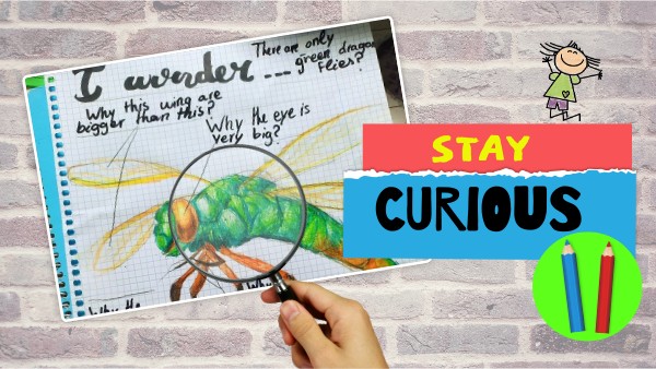 stay curious 2