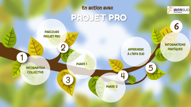 IC PRojet Pro | Genially