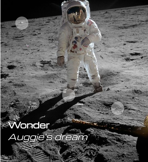 Wonder | Genially