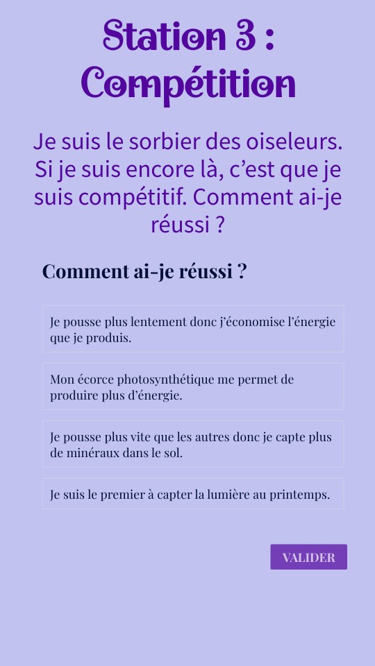 Tourbière station 2