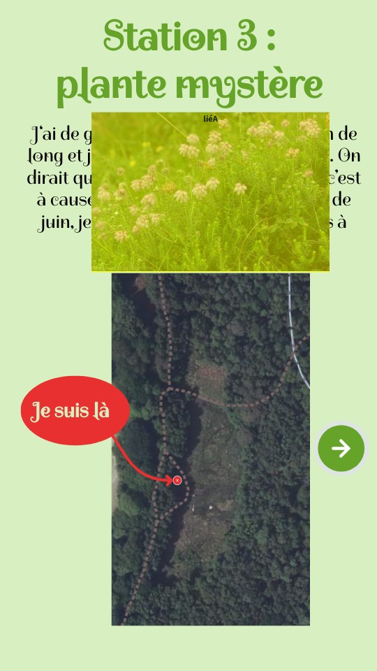 Tourbière station 3