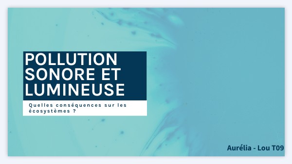 POLLUTION SONORE ET LUMINEUSE | Genially