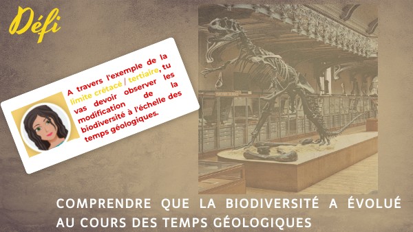 DM biodiv passée | Genially