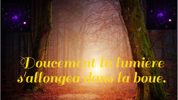 Fulguration- - Romane | Genially