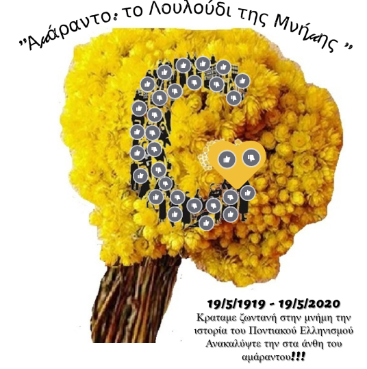 Αμάραντο, το λουλούδι της μνήμης | Genially