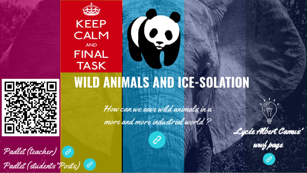 WWF Miss Angel | Genially