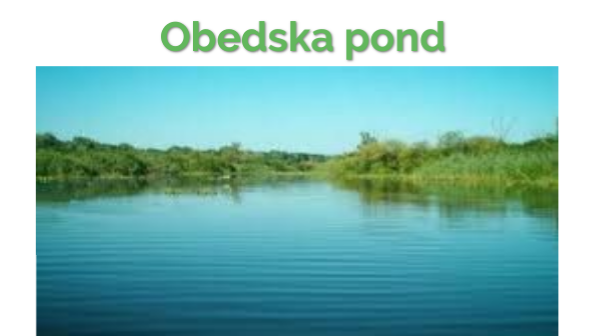 Gepek