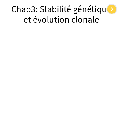 Mémorisation active Chap.3 Stabilité génétique et volution clonale