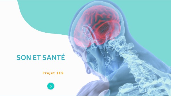 Projet 1ES | Genially