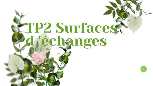 TP2 surfaces d'échanges | Genially
