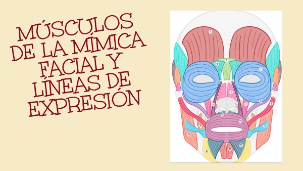 Presentación músculos de la mímica facial | Genially