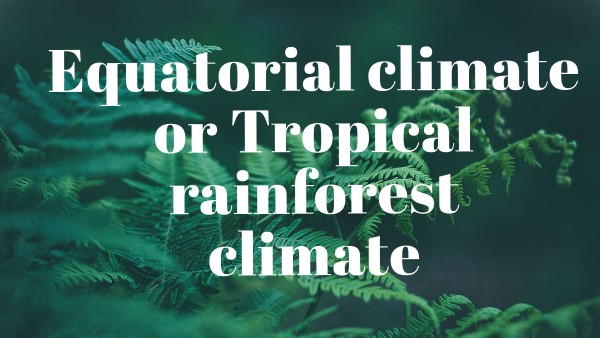 Equatorial climate | Genially